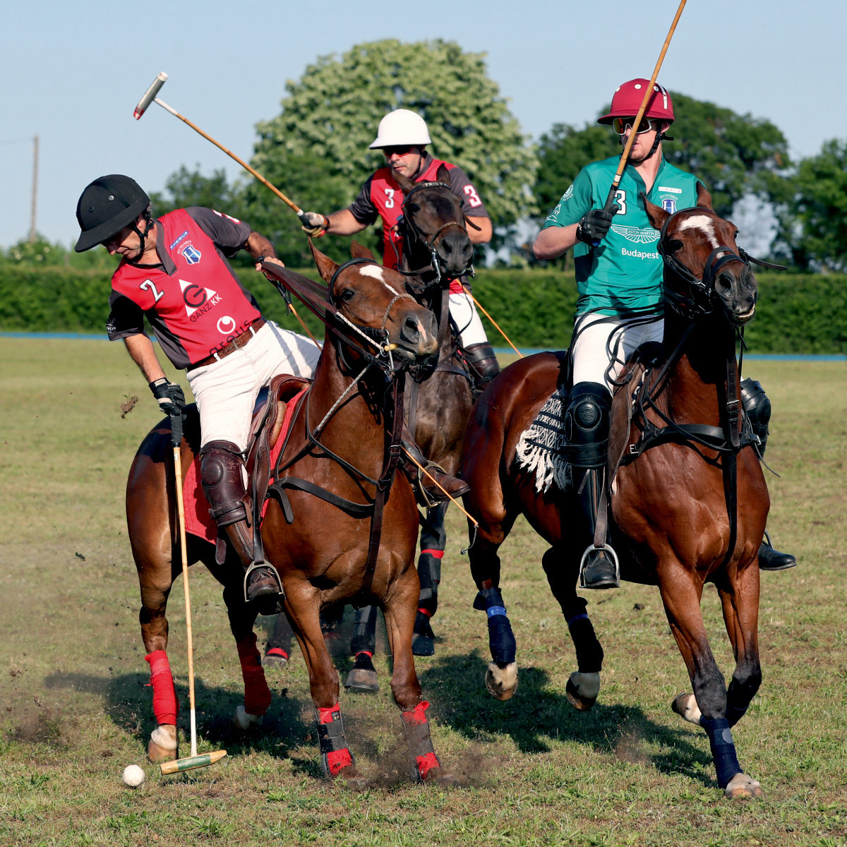 Polo Masters Cup - Élet & Stílus Magazin